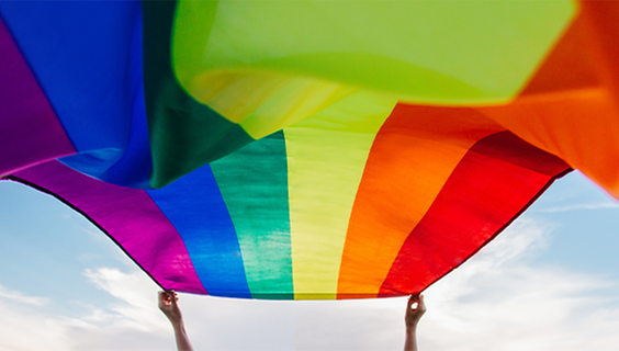 Safe, seen, supported: Better social and healthcare systems for LGBTQ+ communities