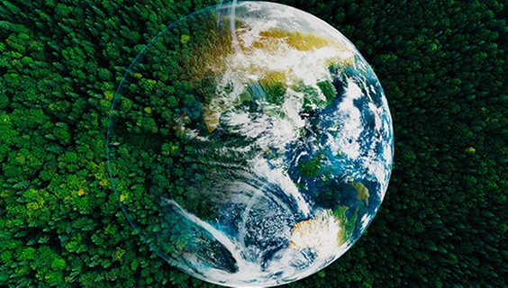 Science for a Sustainable Future: The value of a strong connection between science, research and policy 