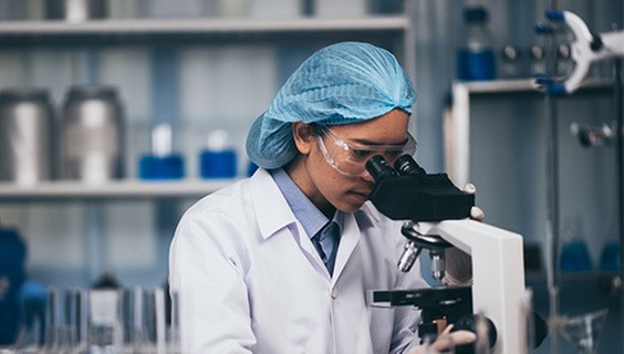 What R&D leaders can learn from AI-driven drug discovery