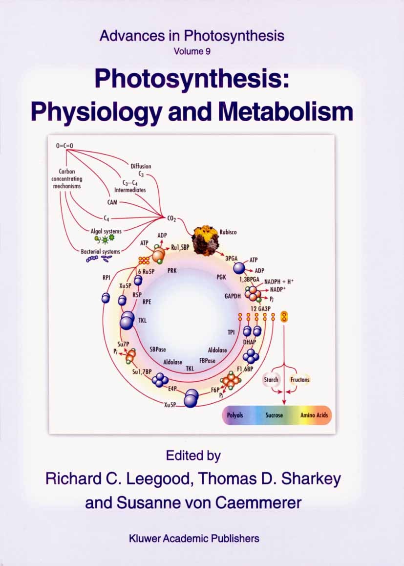 Transition Between Photosynthesis And Respiration Transition Between Photosynthesis And Respiration