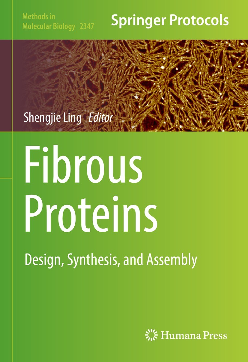 Fibrous Protein Molecular Structure