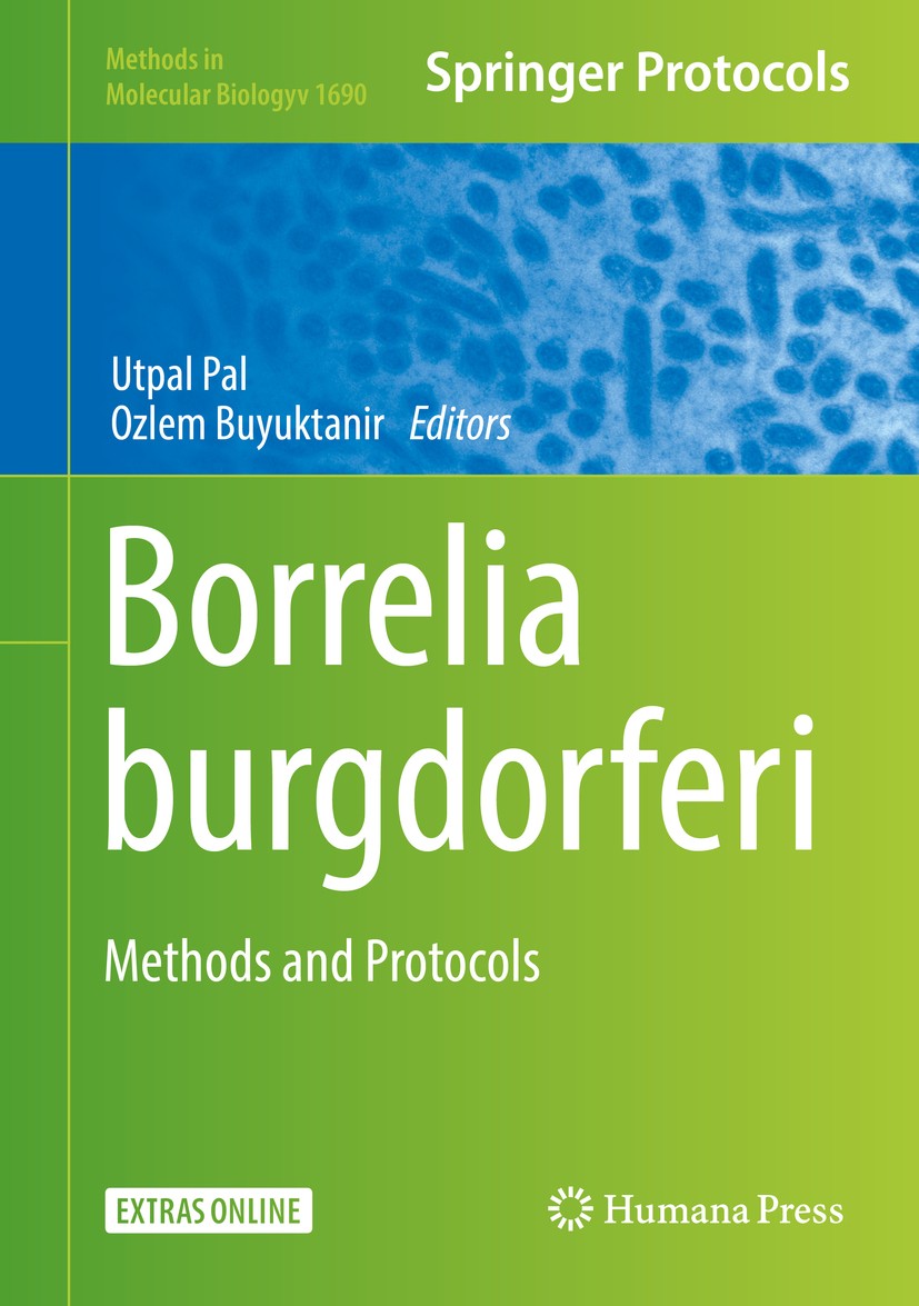 Borrelia Burgdorferi Structure