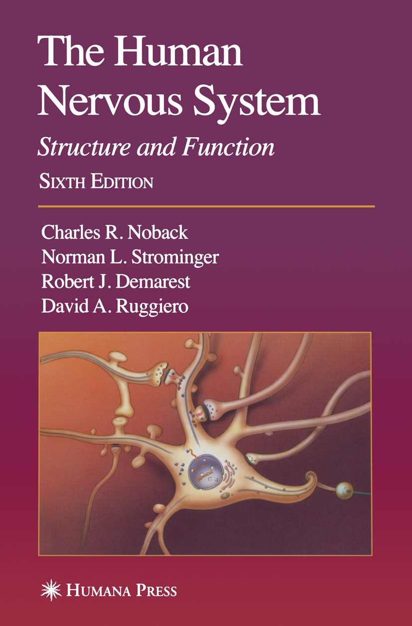 Nervous System Function And Structure Nervous System Function And Structure