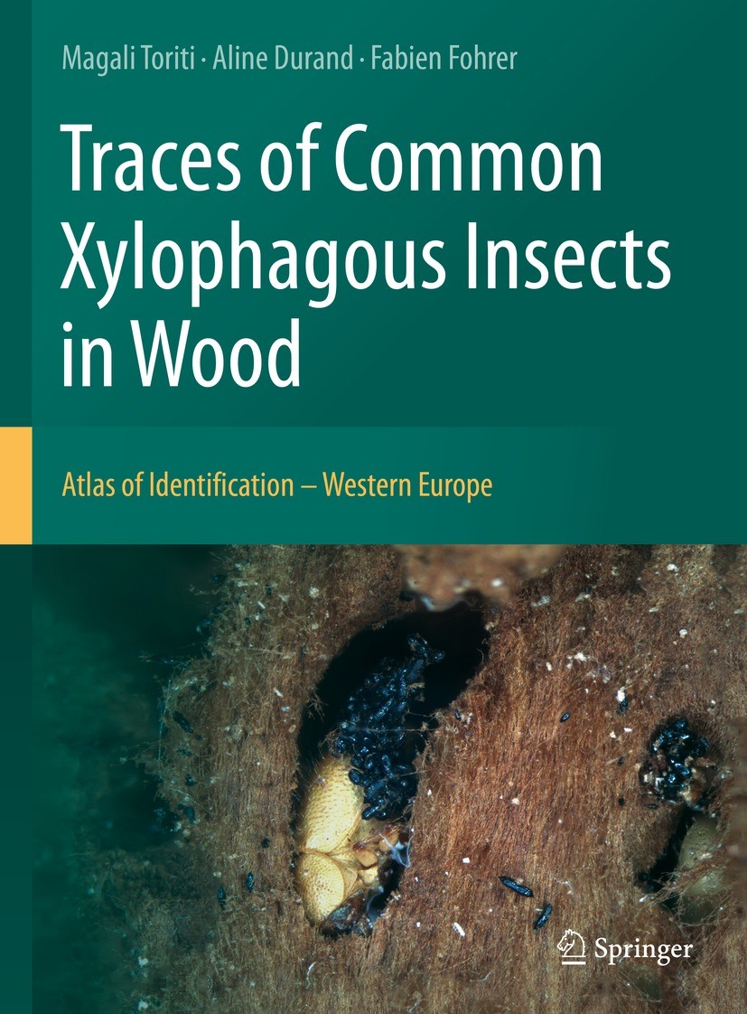 Xylophagous Meaning Common Insect Pests In Homes And Cultural Heritage