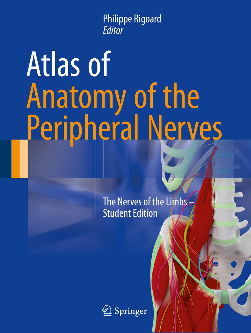 Peripheral Nerve Diagram