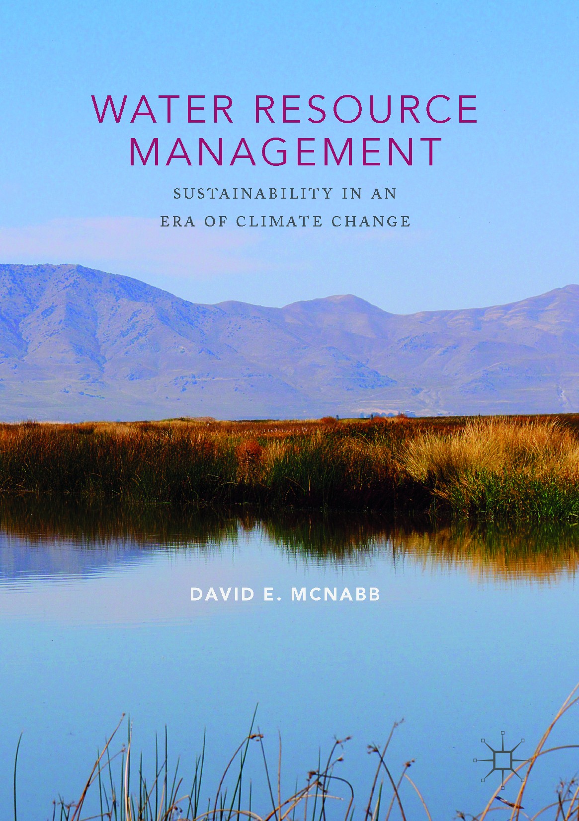 Water Resource Management Comes of Age | SpringerLink