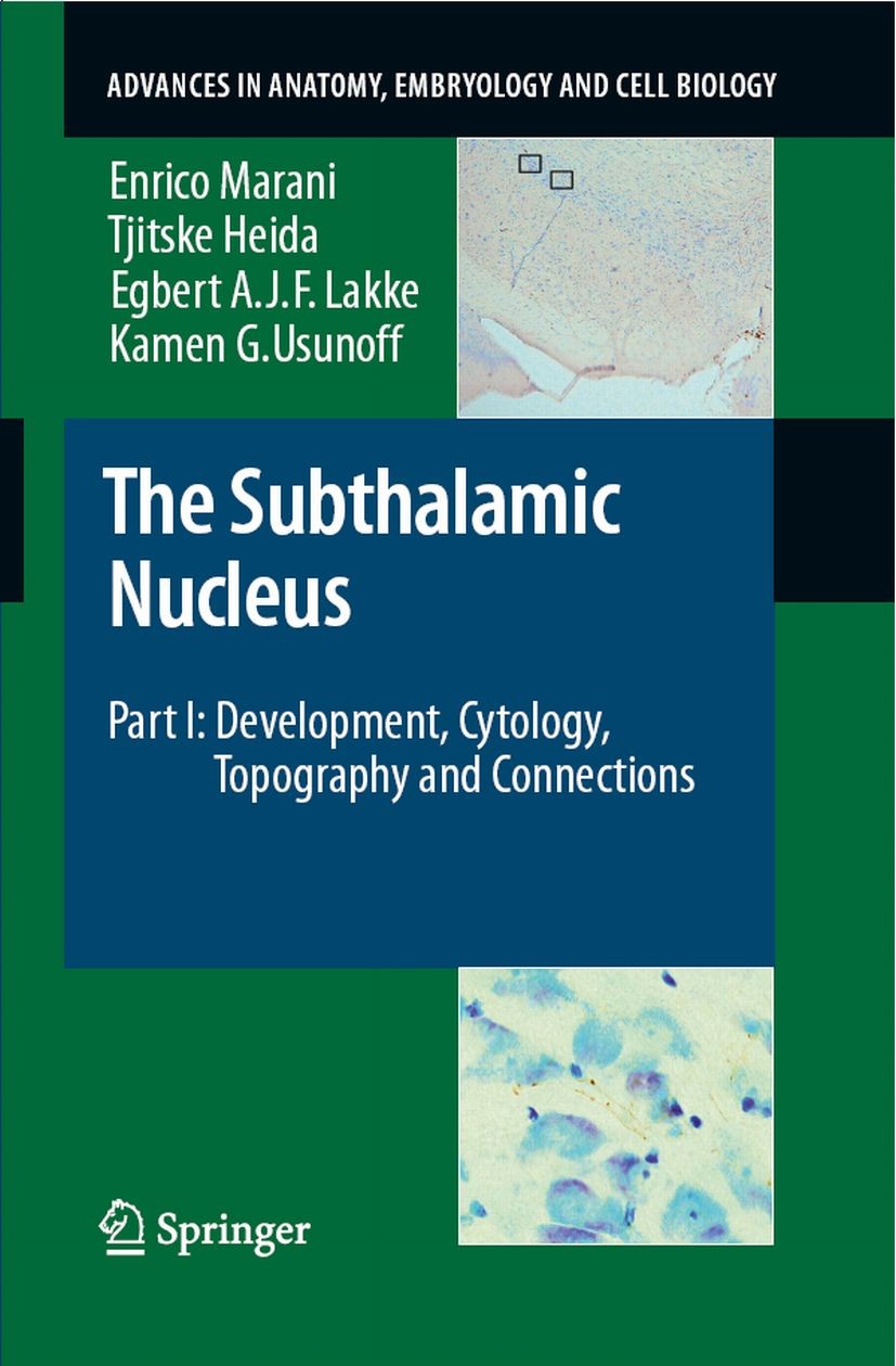 Subthalamic Nucleus