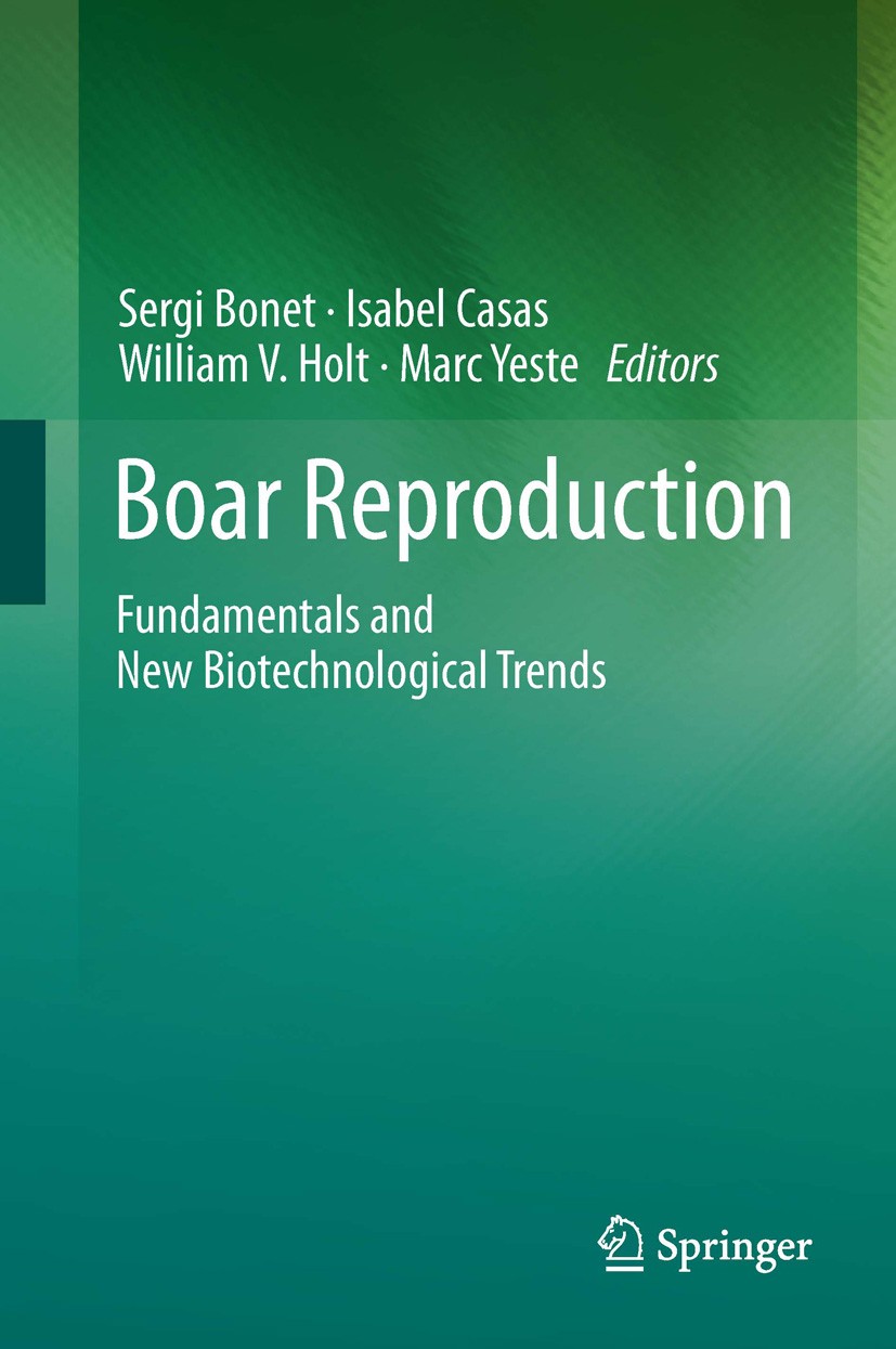 Boar Reproductive System