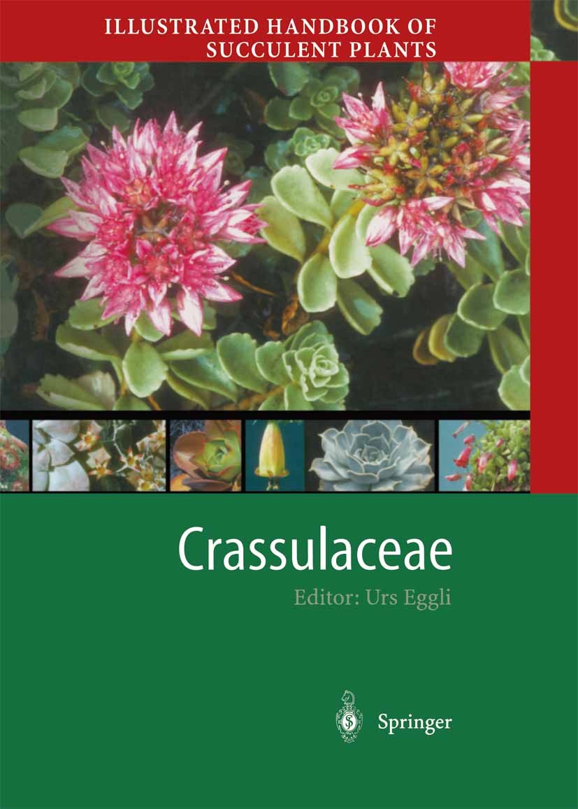 Succulent Plant Books