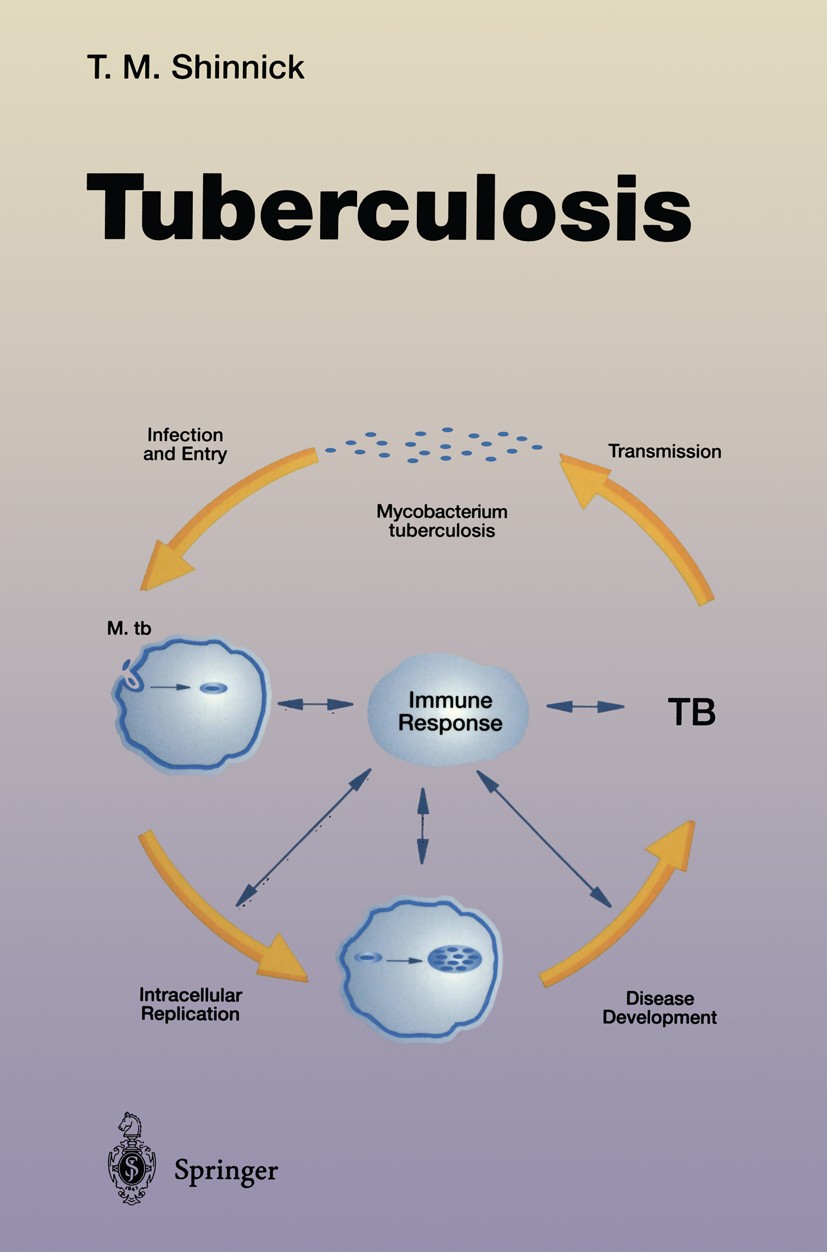 Mycobacterium Tuberculosis Diagram