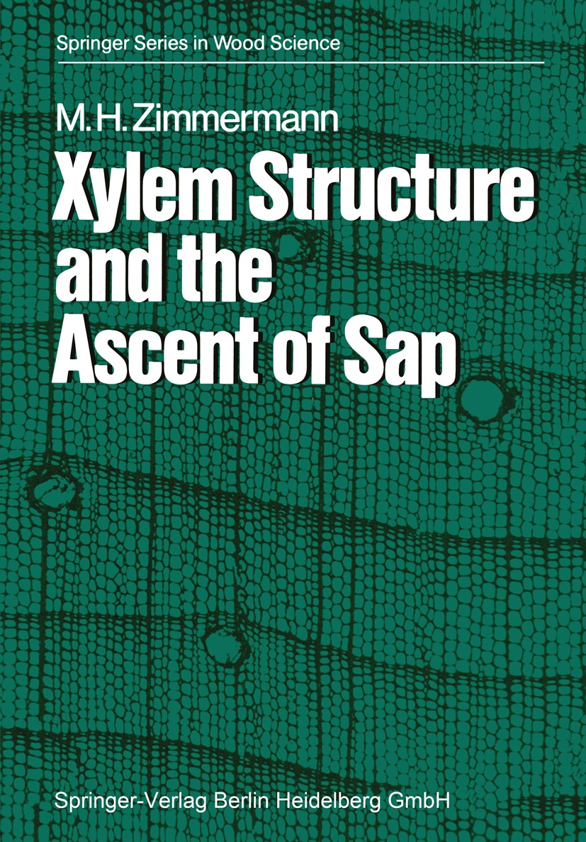 Xylem Structure