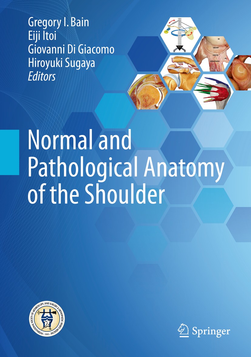 Shoulder Arthroscopy Anatomy | lupon.gov.ph
