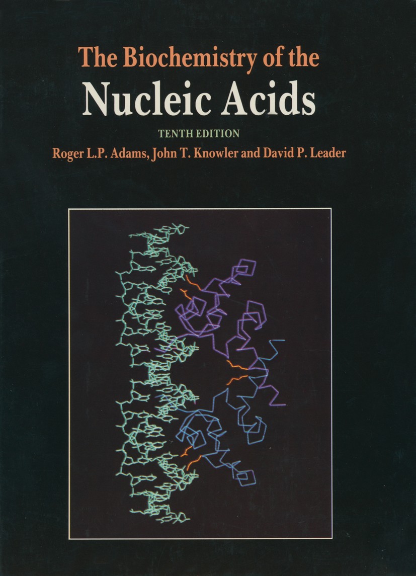 Biochemistry Nucleic Acids Catalytic Nucleic Acids: Biochemistry,