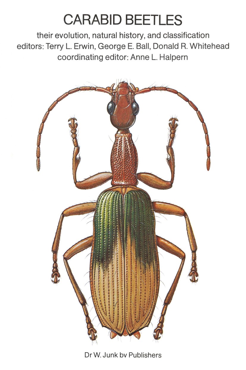Carabidae Larvae