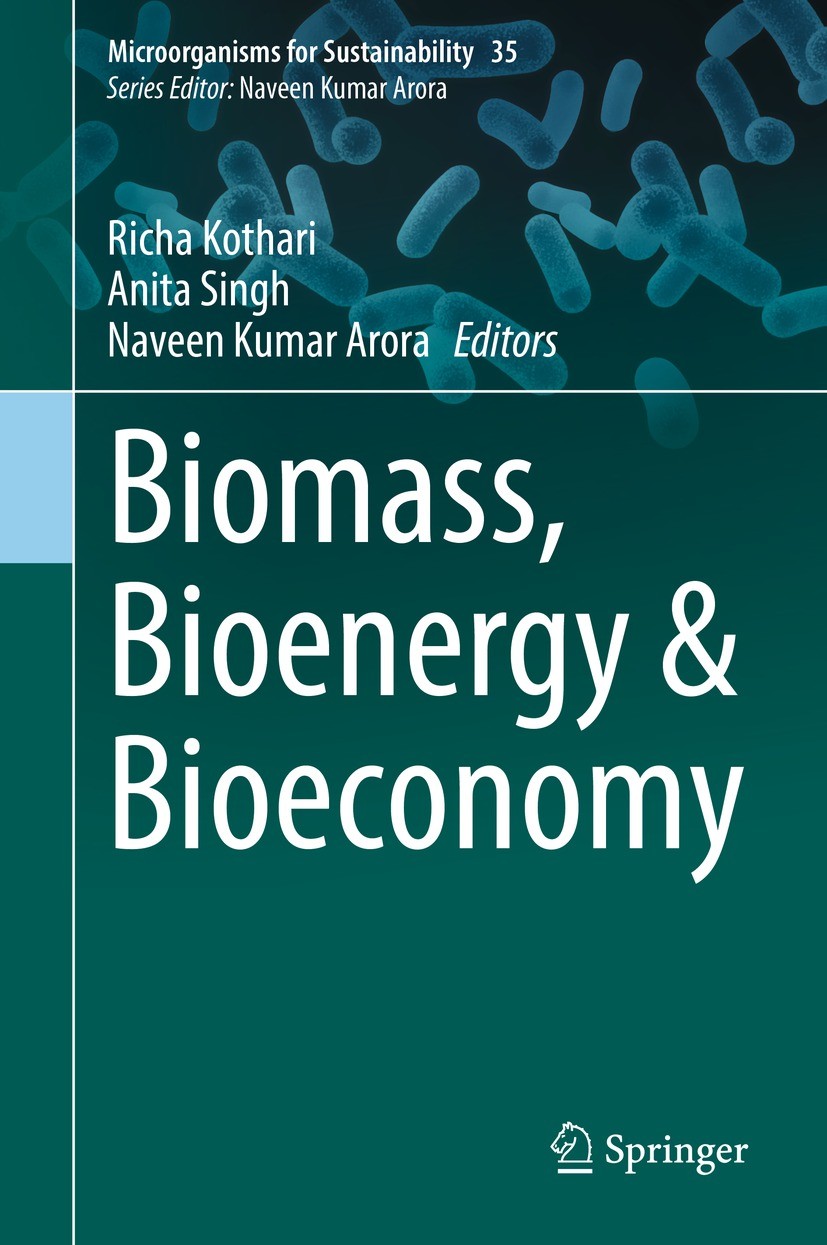 Biomass To Energy Scope Challenges And Applications