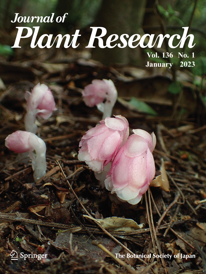 2025 Awards in the Journal of Plant Research | Journal of Plant Research