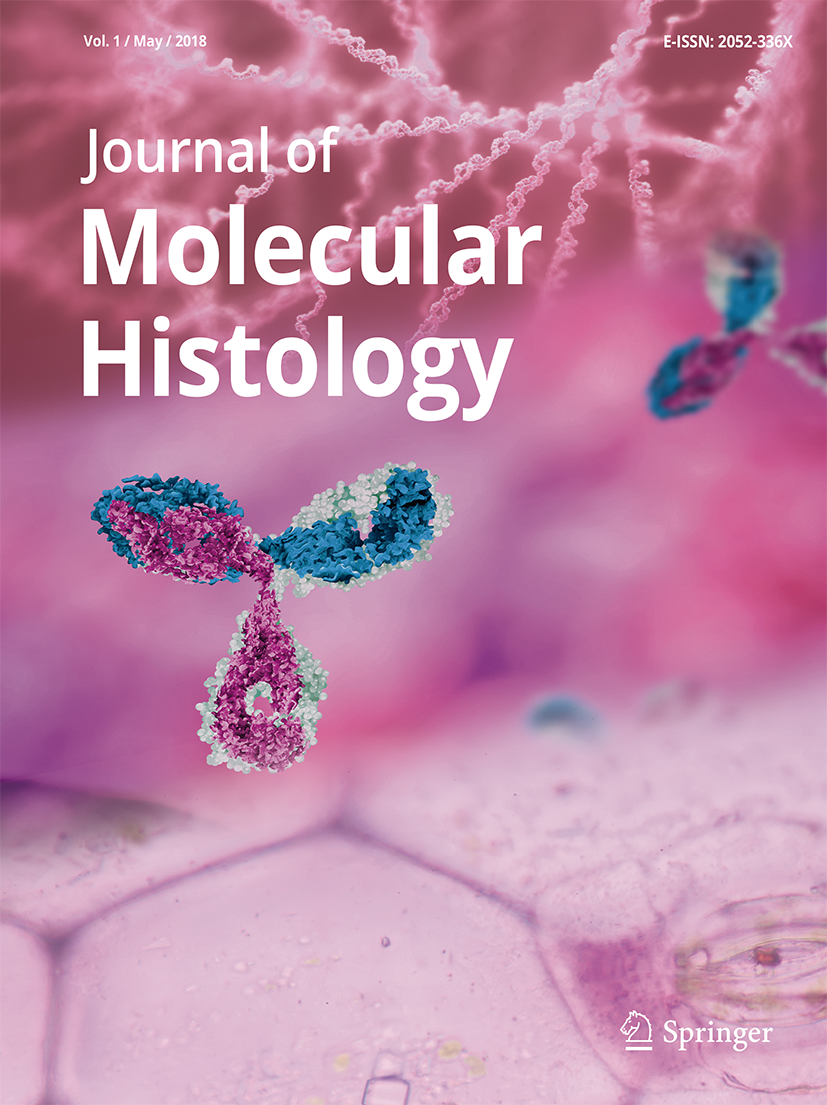 Editorial: New perspectives from the new Editor-in-Chief of Journal of ...