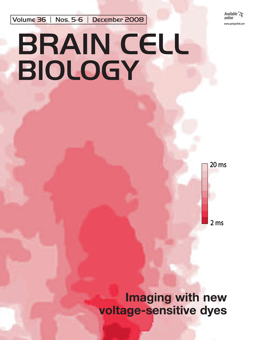 The inferior temporal cortex: Architecture, computation, and ...