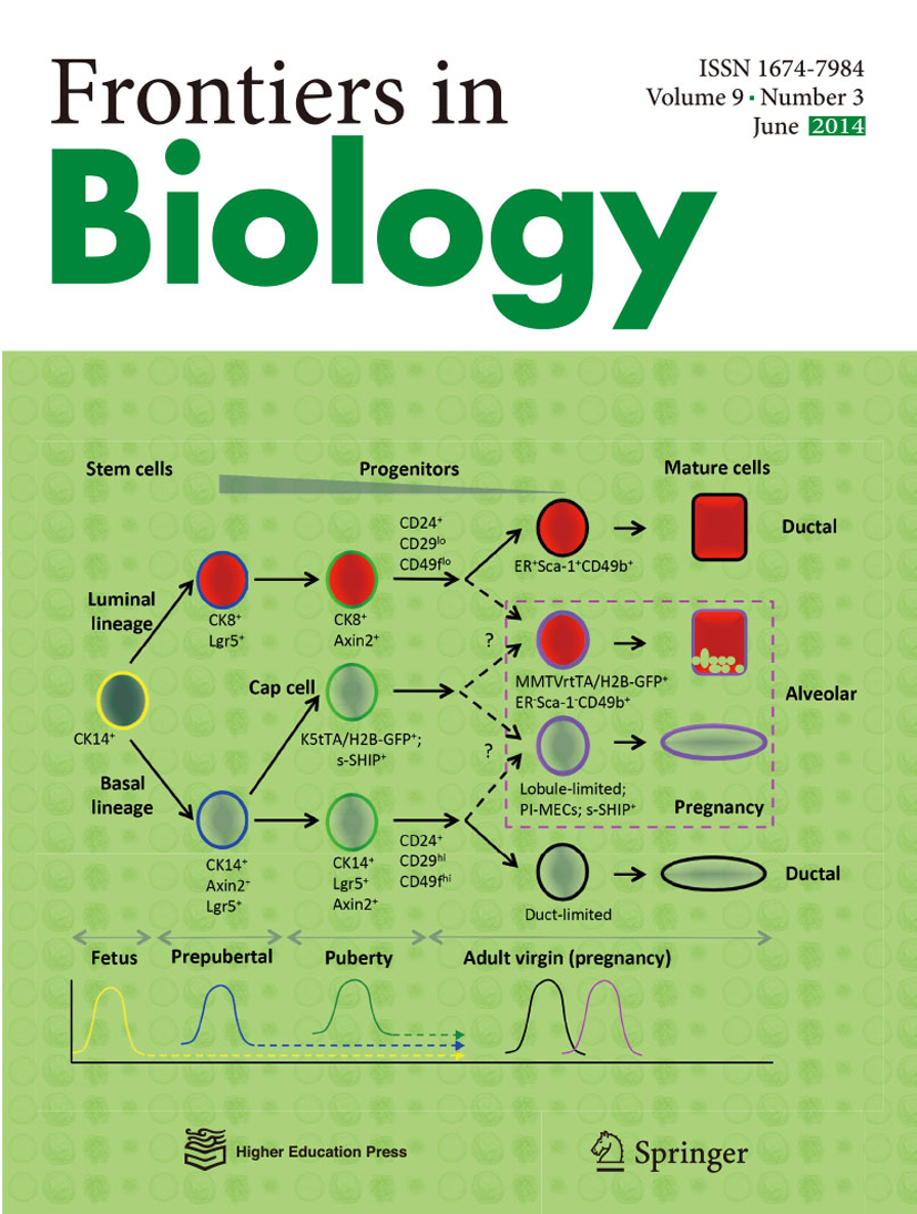 Enterococcus faecalis can be distinguished from Enterococcus faecium ...