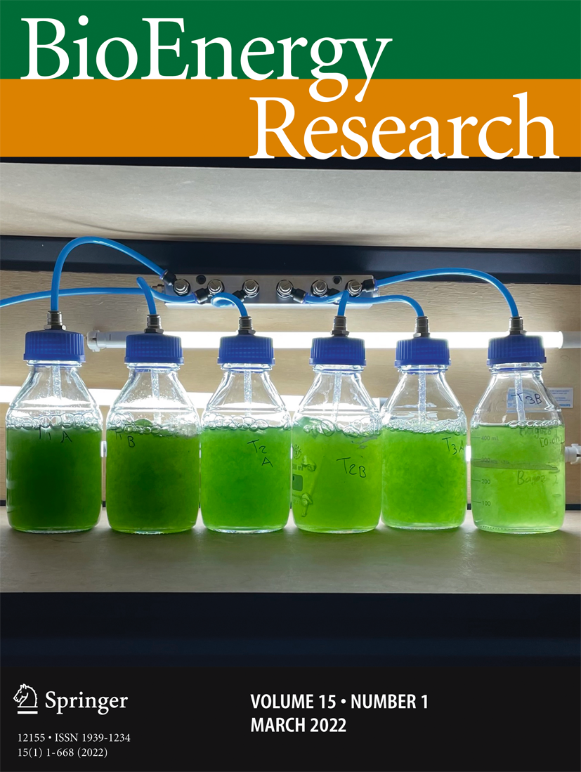 BioEnergy Research | Home