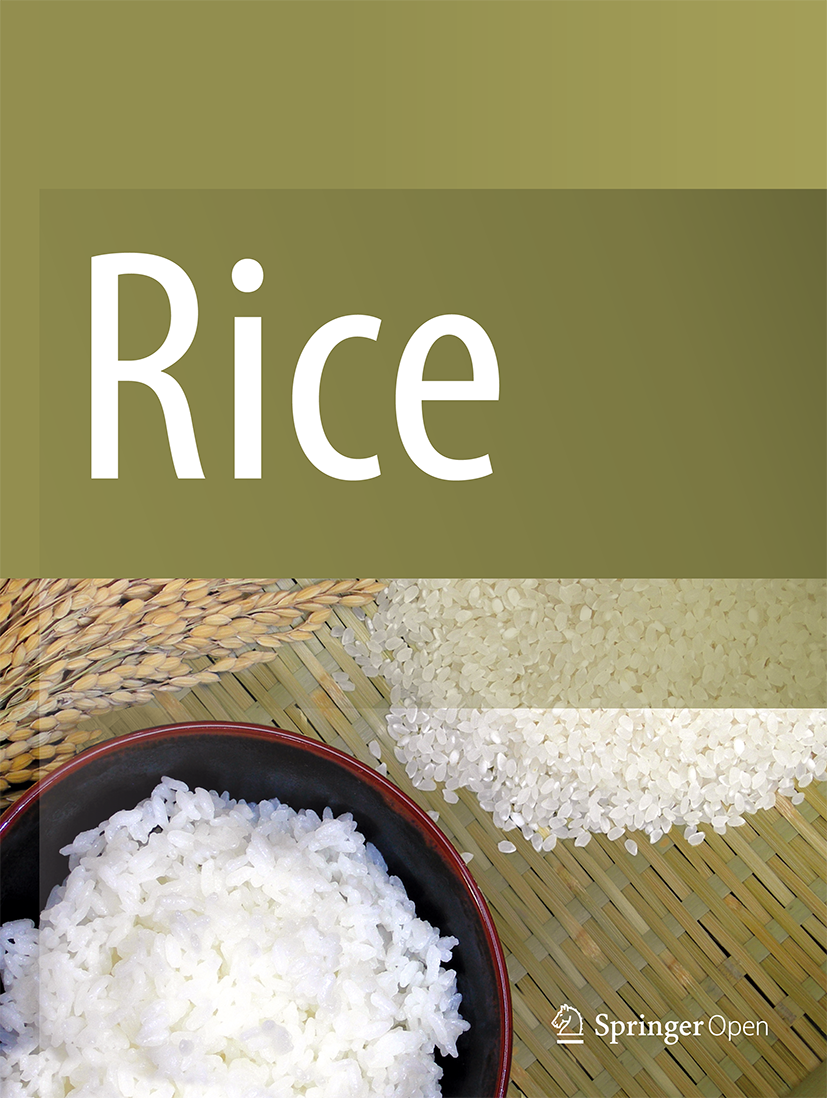 The Origin and Spread of Early-Ripening Champa Rice: It’s Impact on ...