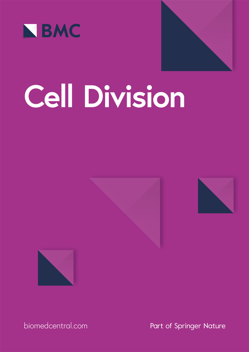 Building a better model of cancer | Cell Division