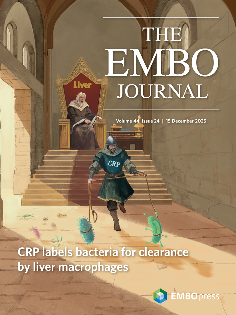 Discontinuous synthesis of mRNA in trypanosomes. | The EMBO Journal