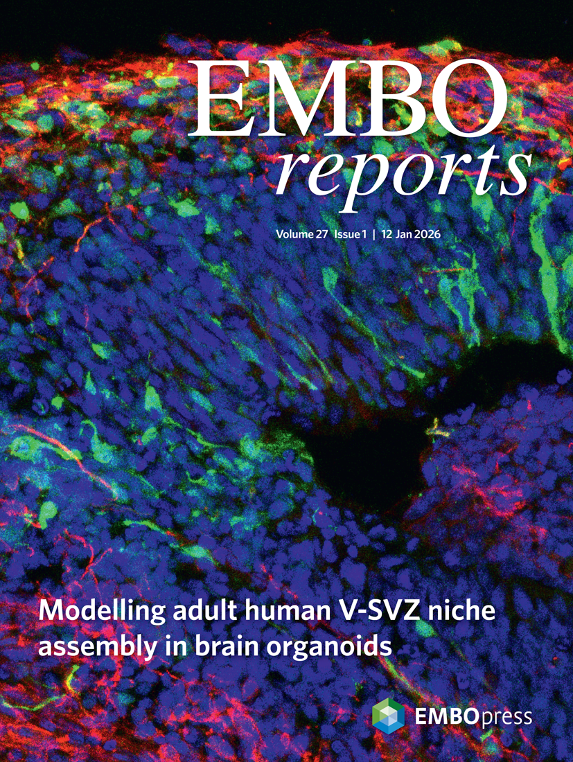 Tackling the postdoc brain drain | EMBO Reports