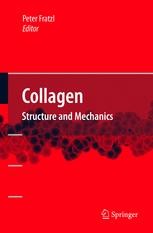 Collagen: Structure and Mechanics | SpringerLink
