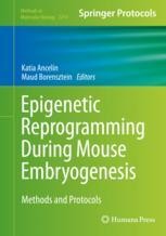 Epigenetic Reprogramming During Mouse Embryogenesis: Methods and ...