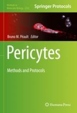 Pericytes: Methods and Protocols | SpringerLink