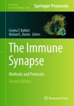 The Immune Synapse: Methods and Protocols | SpringerLink