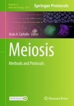 Meiosis: Methods and Protocols | SpringerLink