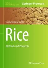 Rice: Methods and Protocols | SpringerLink