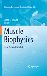 Muscle Biophysics: From Molecules to Cells | SpringerLink