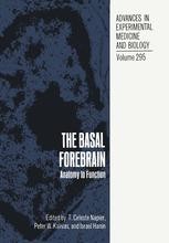 The Basal Forebrain: Anatomy to Function | Springer Nature Link