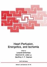 Heart Perfusion, Energetics, and Ischemia | SpringerLink