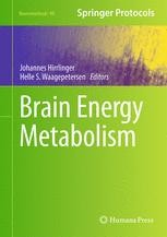 Brain Energy Metabolism | SpringerLink