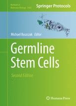 Germline Stem Cells | Springer Nature Link (formerly SpringerLink)