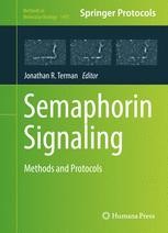 Semaphorin Signaling: Methods and Protocols | SpringerLink