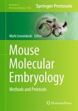 Mouse Molecular Embryology: Methods and Protocols | Springer Nature ...