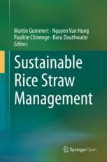 Sustainable Rice Straw Management | SpringerLink