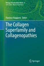 The Collagen Superfamily and Collagenopathies | SpringerLink