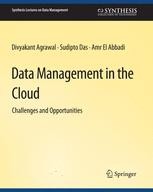 Data Management in the Cloud | SpringerLink
