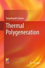 Thermal Polygeneration | SpringerLink