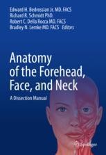 Anatomy of the Forehead, Face, and Neck: A Dissection Manual | SpringerLink
