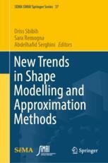 New Trends in Shape Modelling and Approximation Methods | SpringerLink