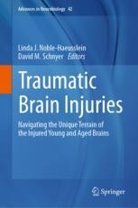 Traumatic Brain Injuries: Navigating the Unique Terrain of the Injured ...