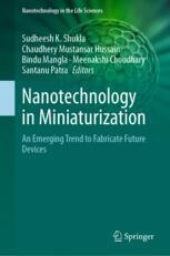 Nanotechnology in Miniaturization: An Emerging Trend to Fabricate Future Devices | SpringerLink