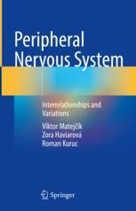 Peripheral Nervous System: Interrelationships and Variations | SpringerLink